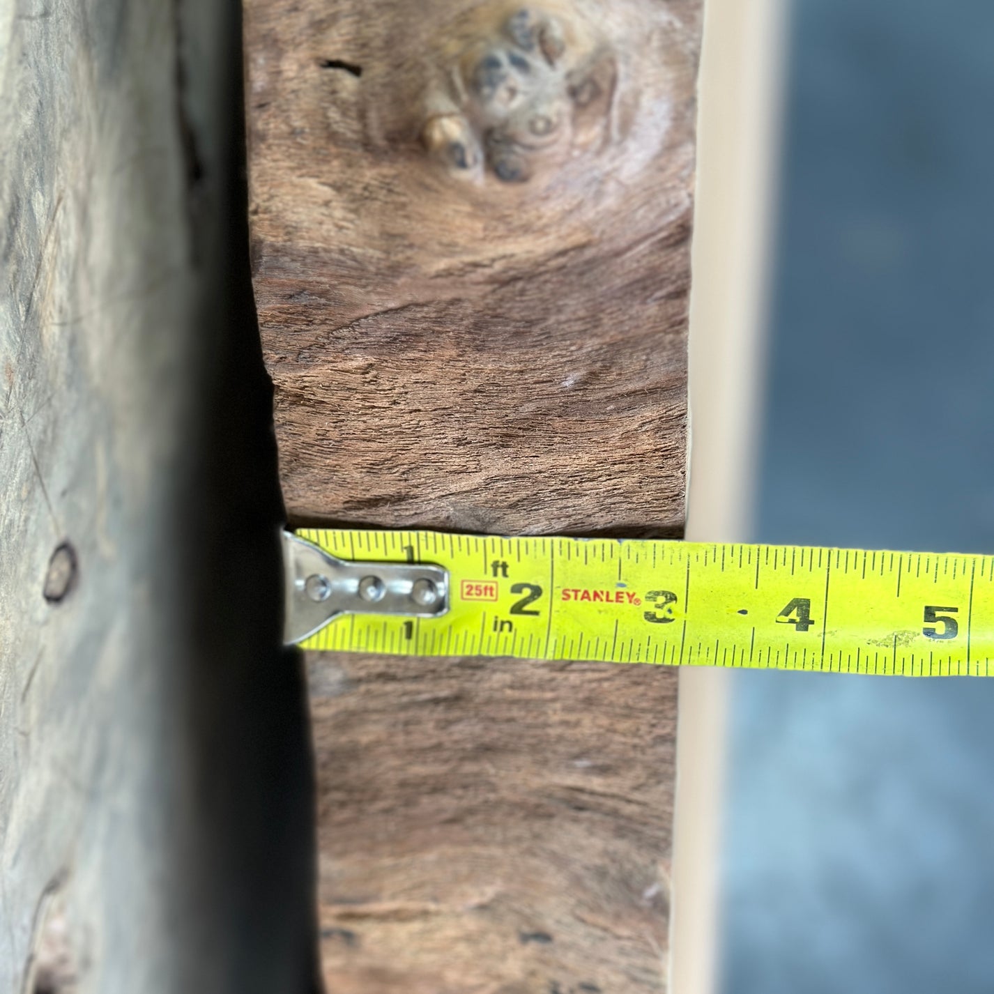 Claro Walnut Cross Cut Cookie Slab – WoodCache