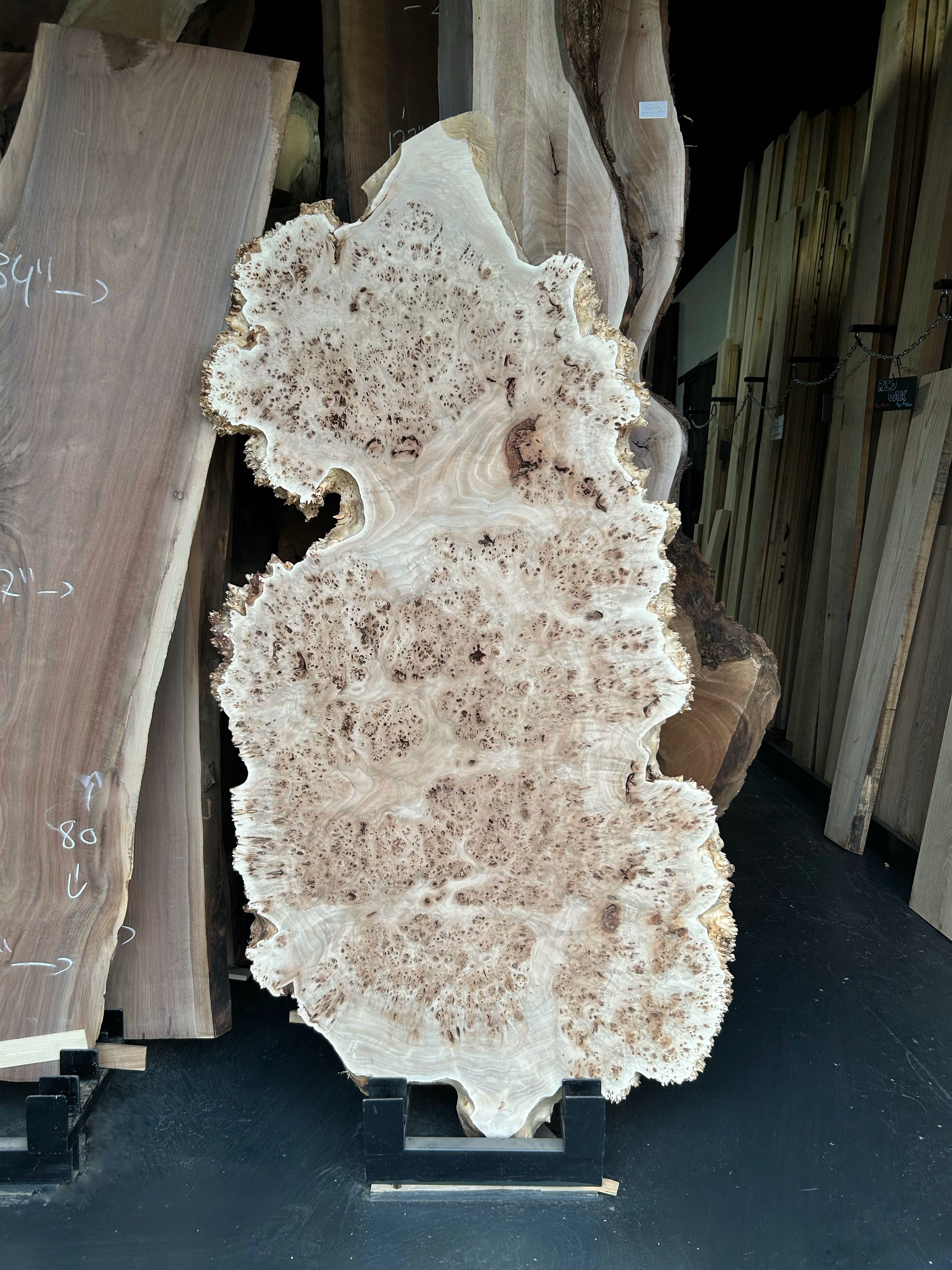 Mappa Burl Slab – WoodCache
