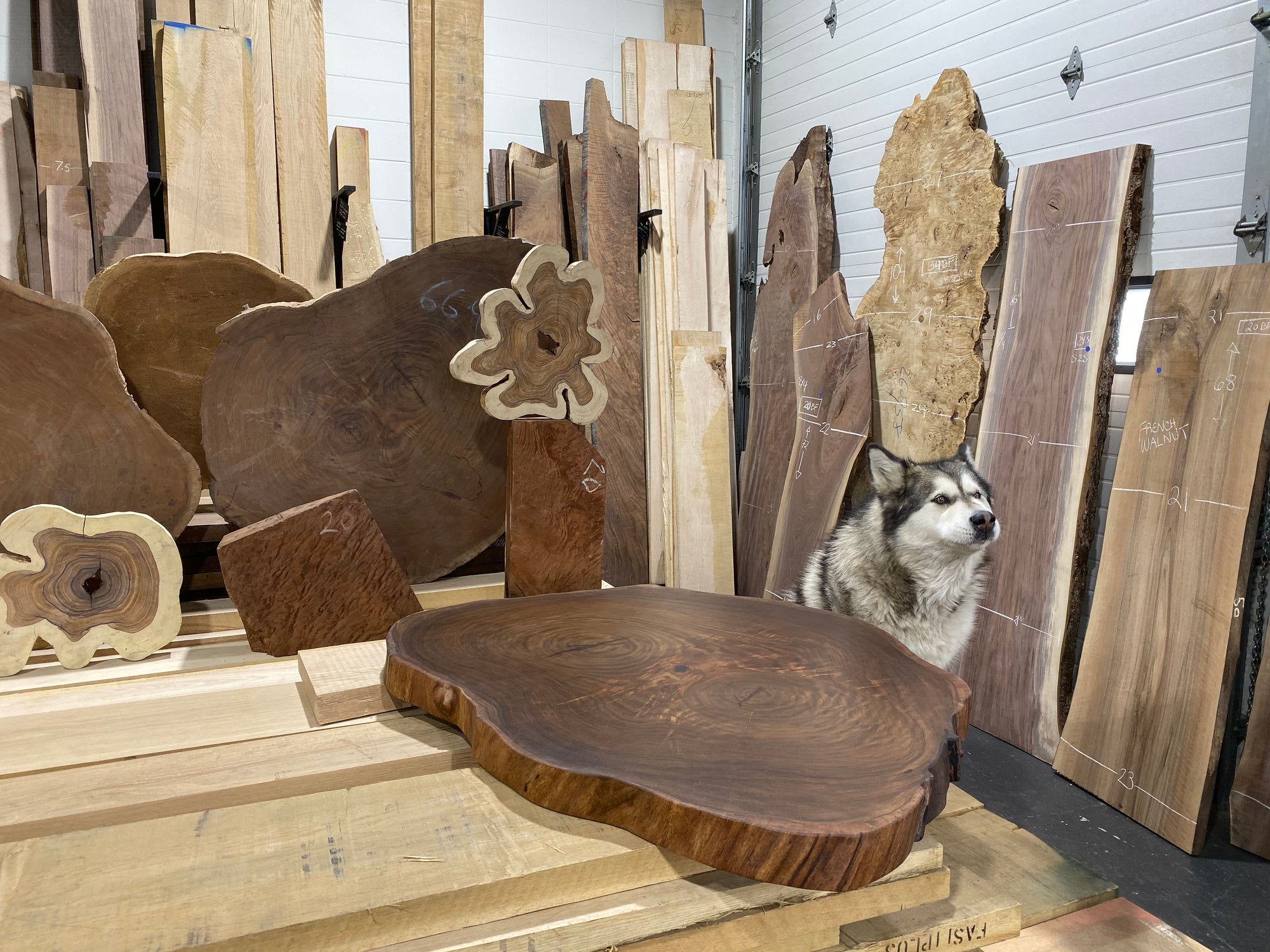 Wood Cache Calgary - Woodworking Supply & Specialty Hardwoods – WoodCache