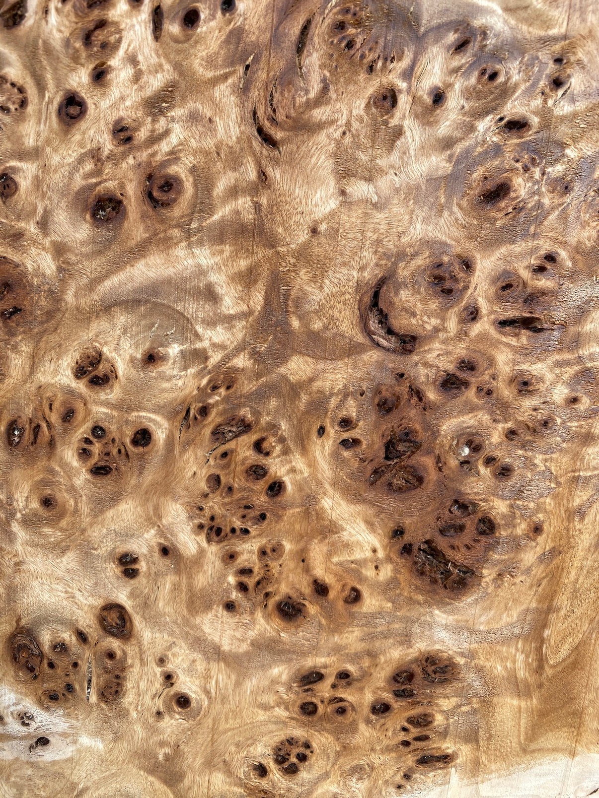 Mappa Burl Slab MB11-1 – WoodCache