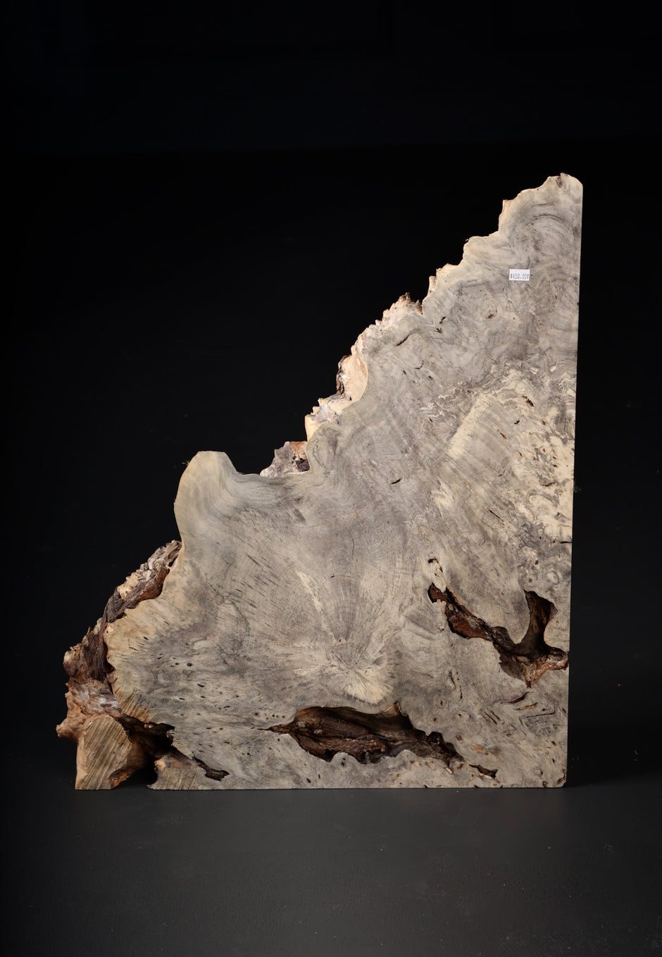 Buckeye Burl Pieces – WoodCache